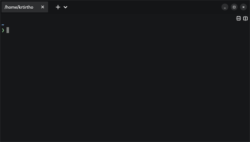 Portfolio | Kingkor Roy Tirtho